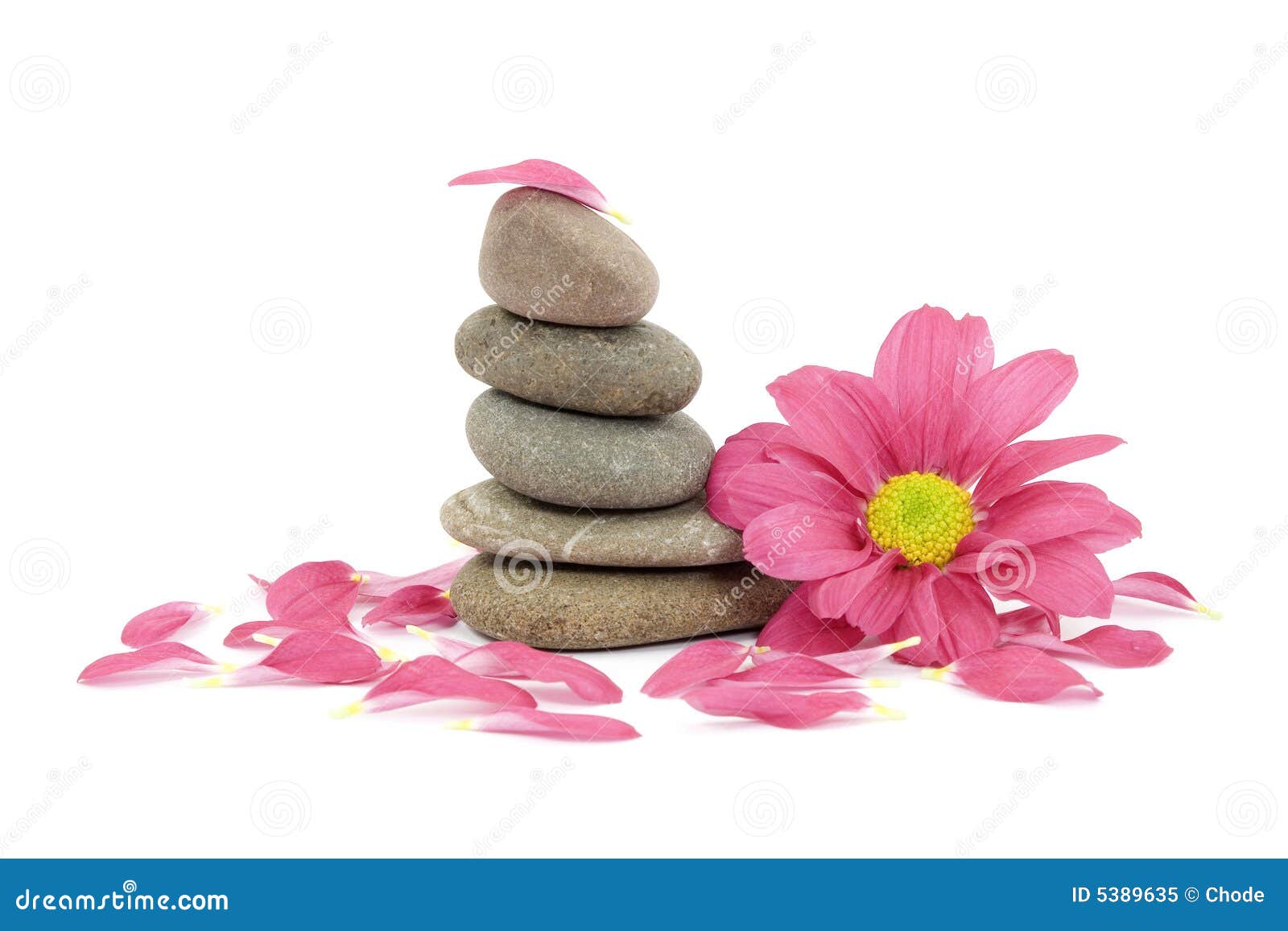 Zen Flower Images