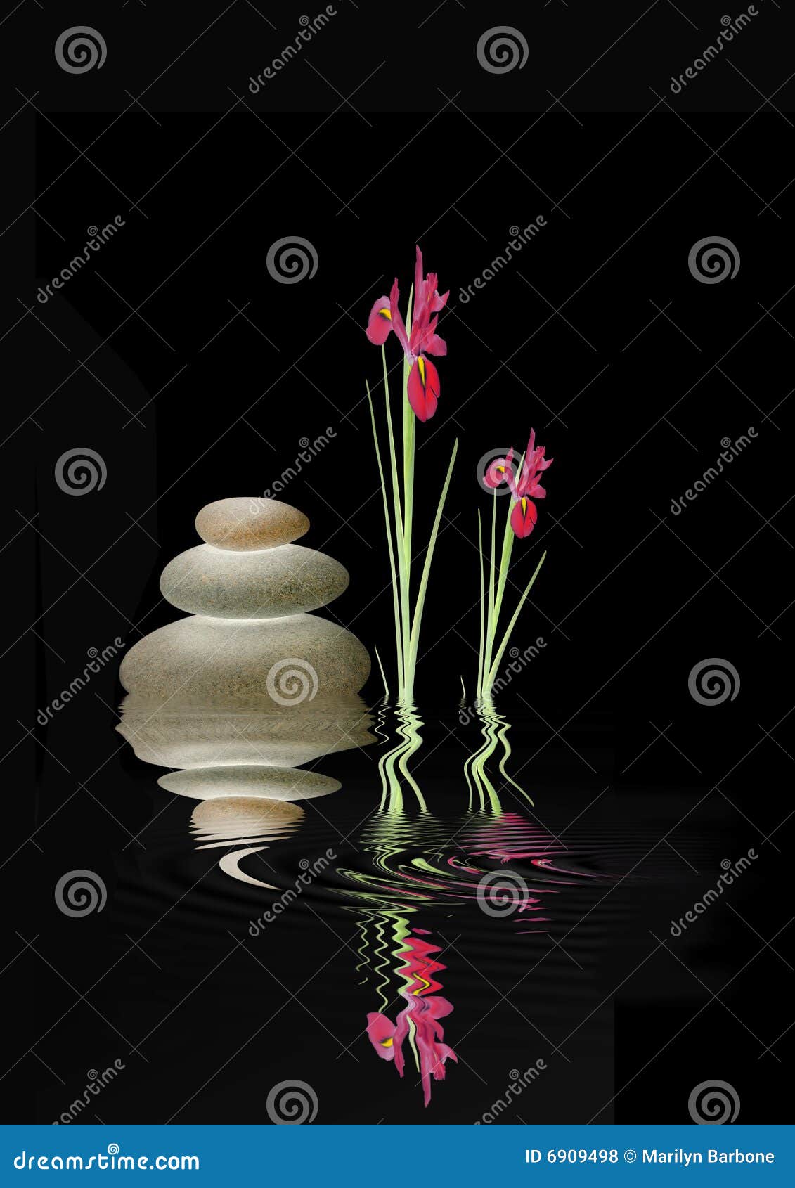 Zen Spa Stones and Red Iris Flowers Stock Illustration - Illustration ...