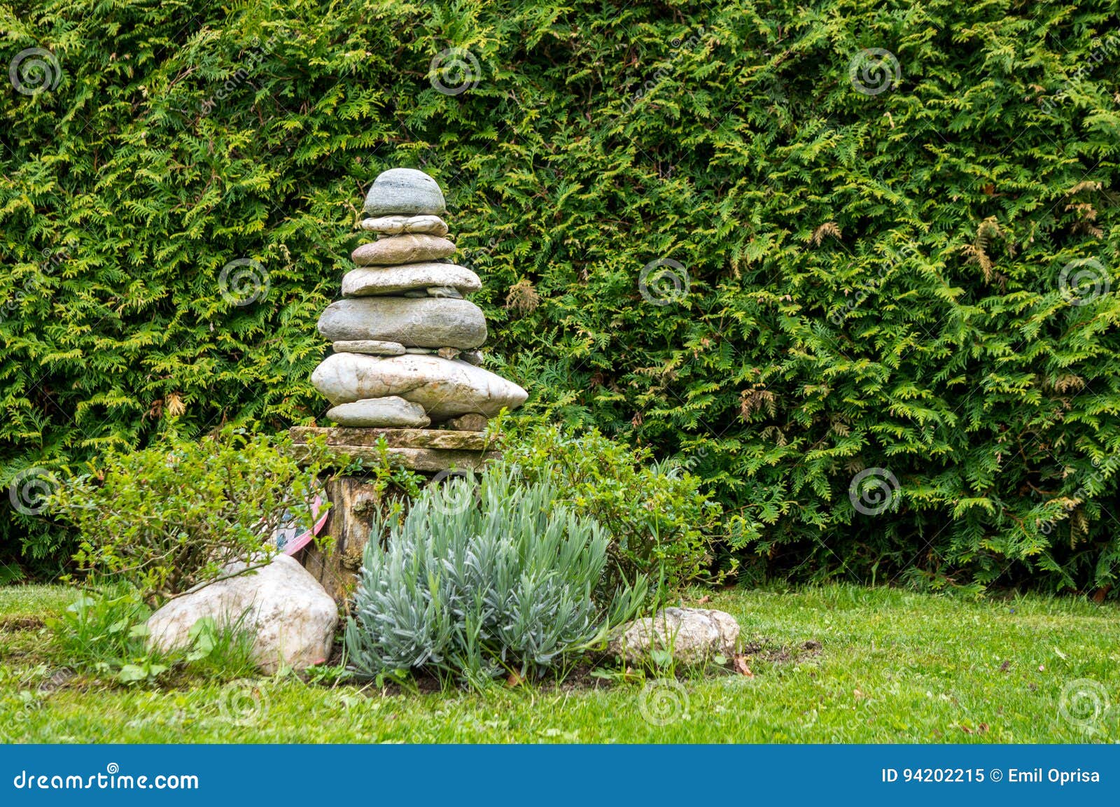 Zen stacked stones stock image. Image of plants, simplicity - 94202215