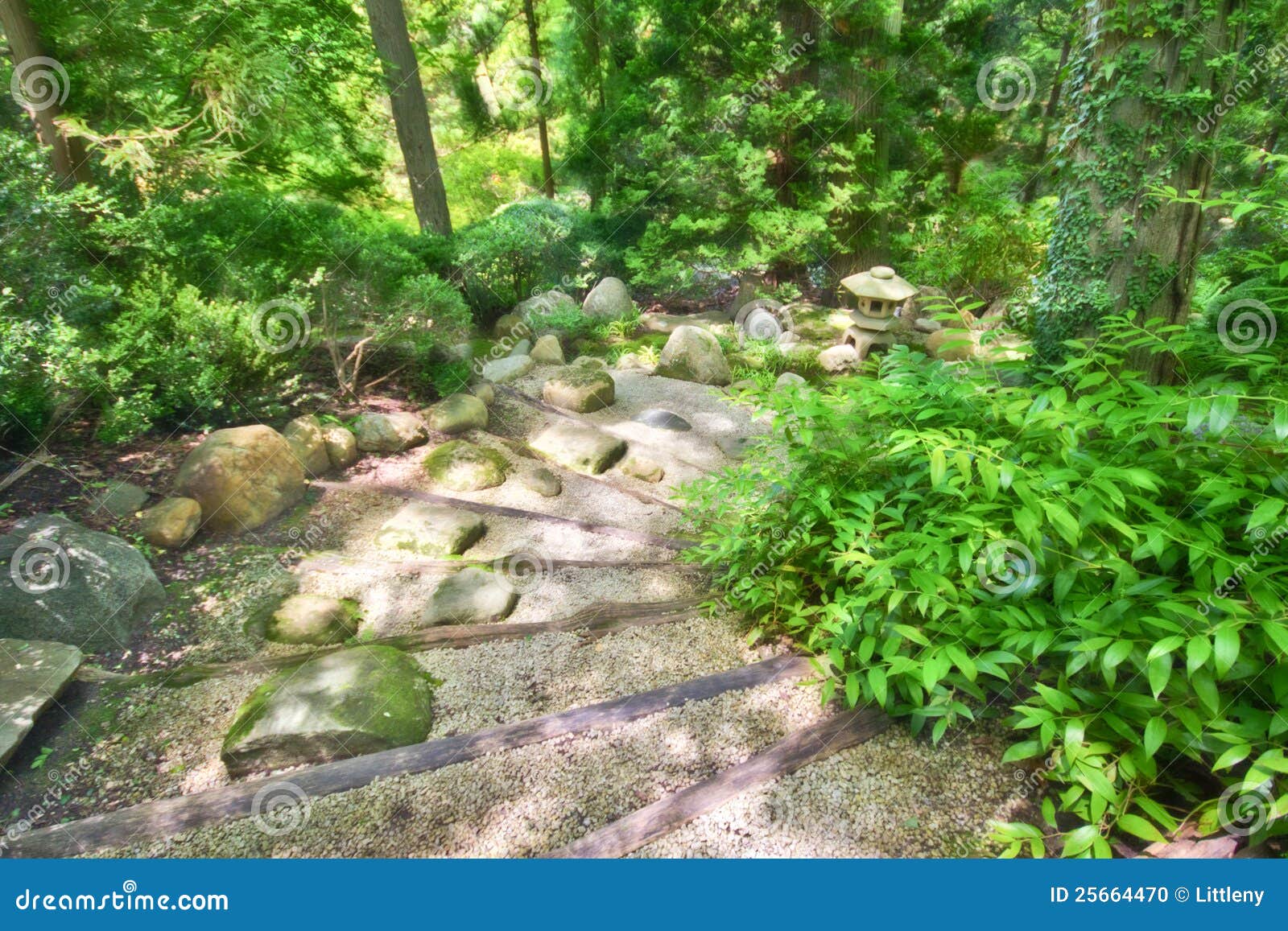 Zen Steps stock photo. Image of park, buddhism, asia - 25664470