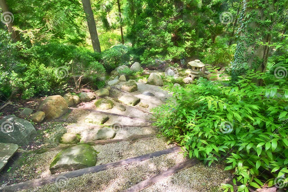 Zen Steps stock photo. Image of park, buddhism, asia - 25664470