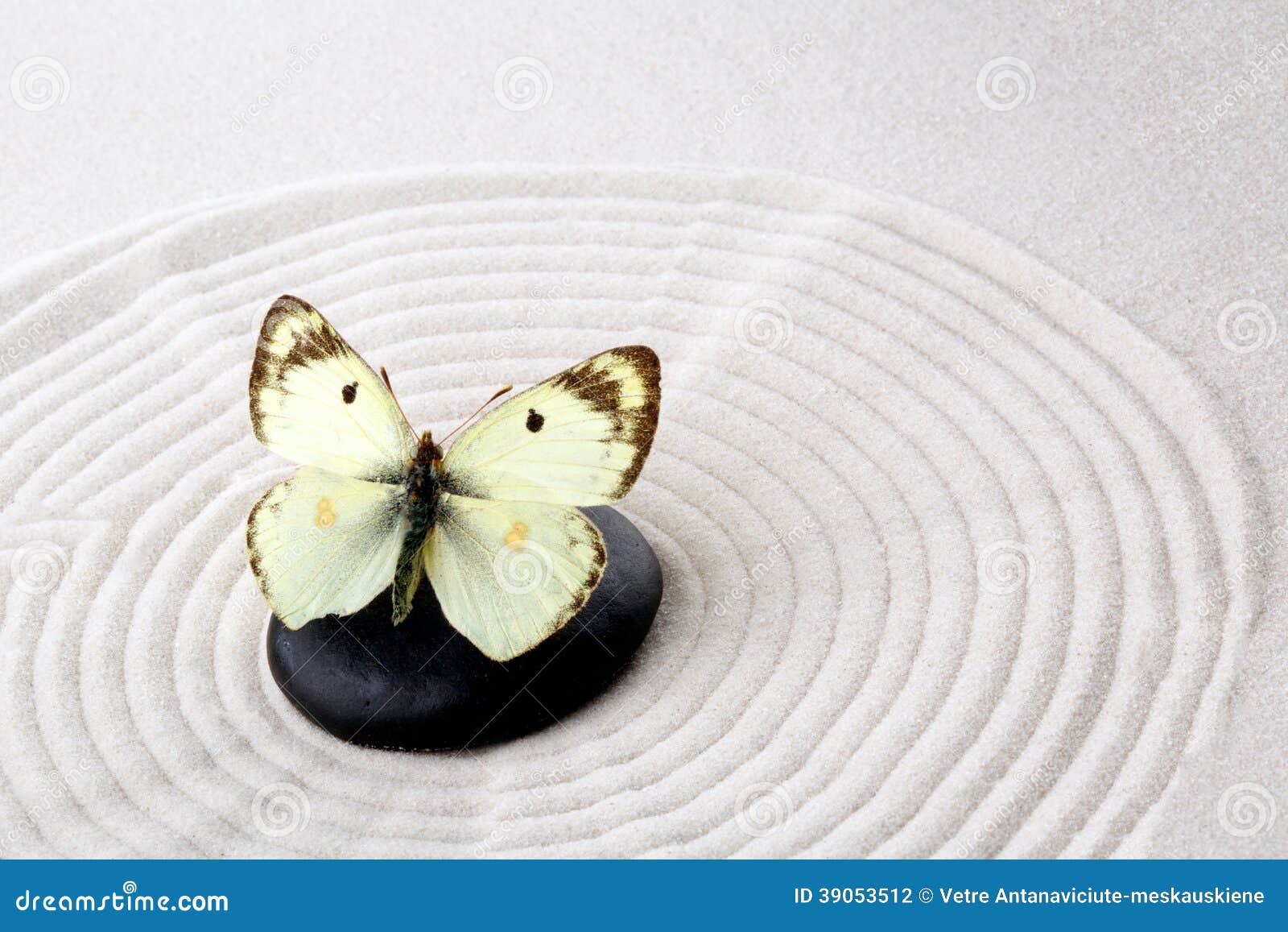 Zen stone with butterfly stock photo. Image of macro - 39053512