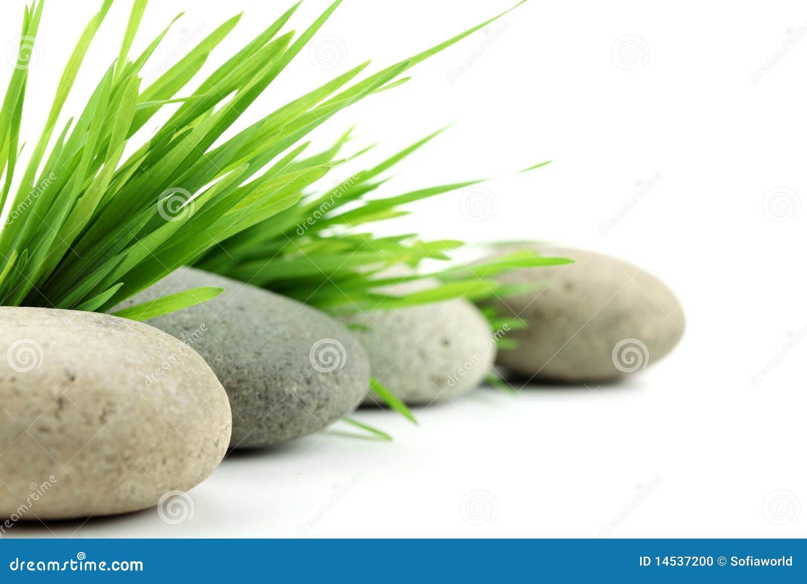 Zen stone with fresh grass stock photo. Image of stony - 14537200