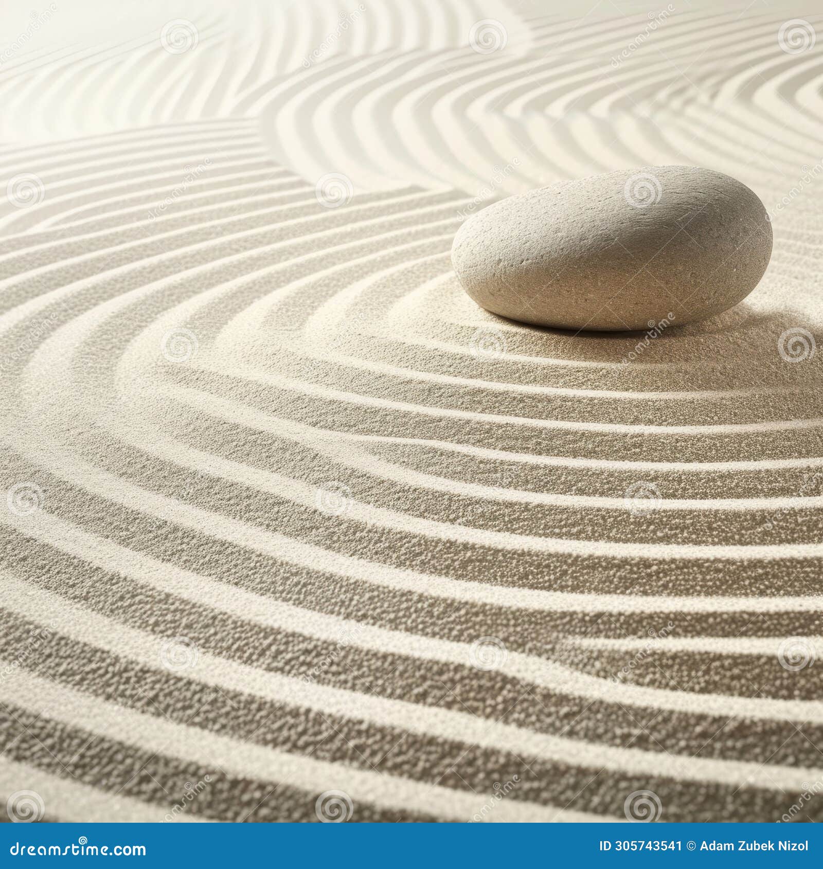 Zen Stone on Raked Sand with Circular Patterns Stock Illustration ...