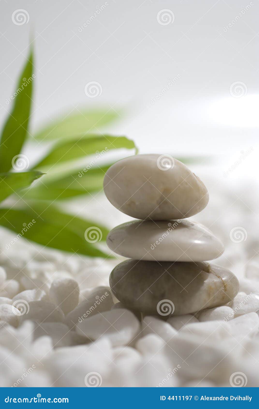 Zen stones and bamboo stock image. Image of rocks, bamboo - 4411197