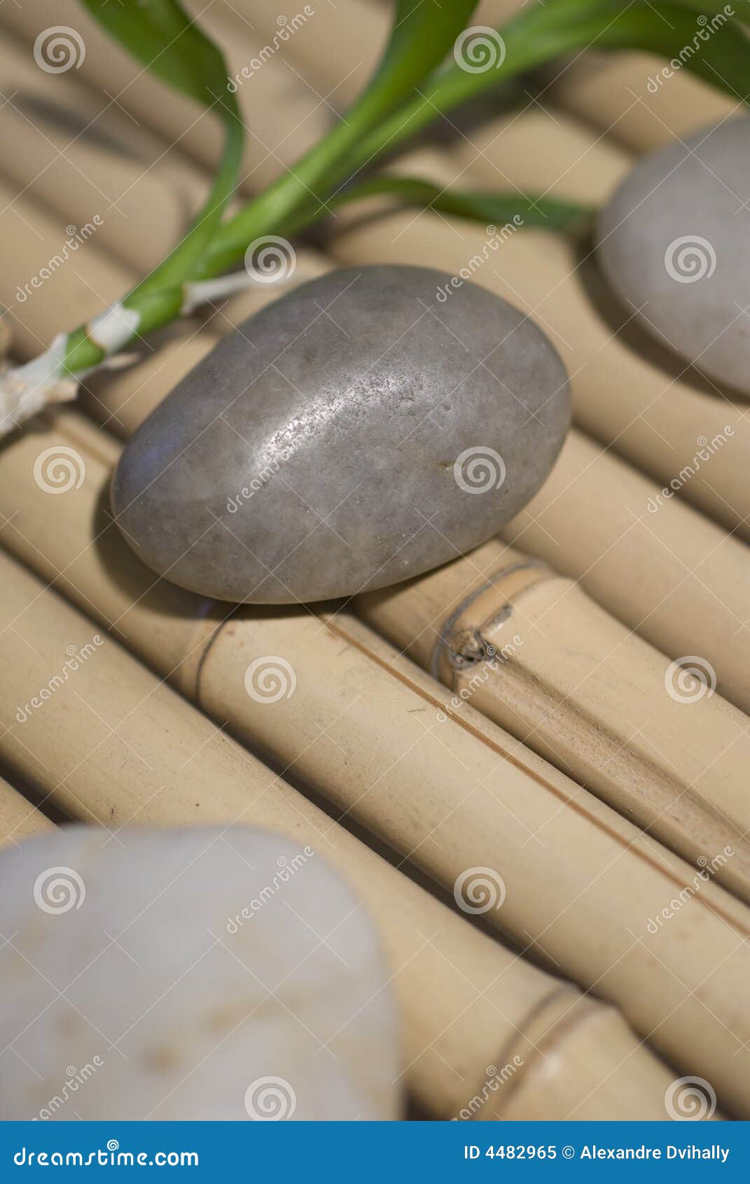 Zen stones and bamboo stock image. Image of calmness, rock - 4482965