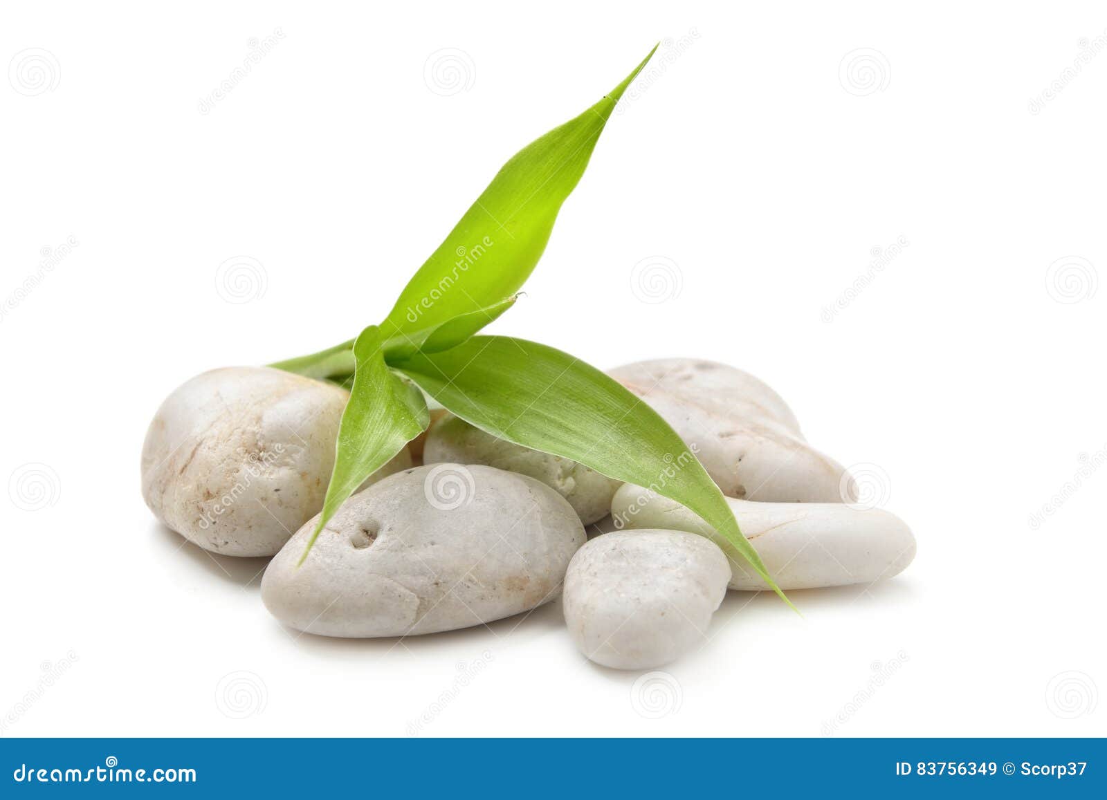 Zen Stones and Bamboo on the White Stock Image - Image of garden ...