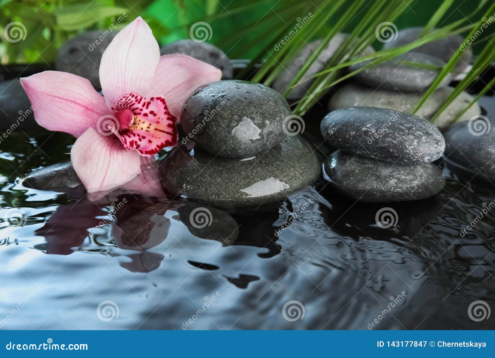 Zen Stones and Exotic Flower in Water Stock Image - Image of calm ...