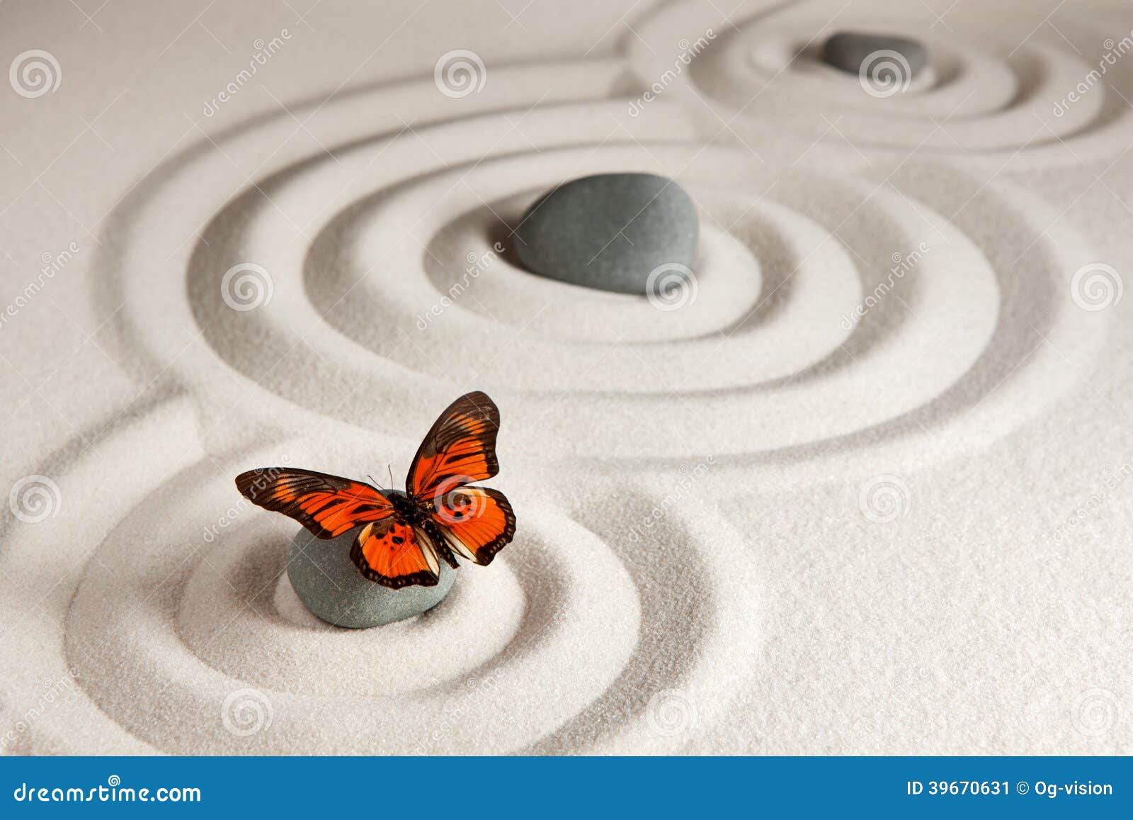 Zen stones with butterfly stock image. Image of spirituality - 39670631