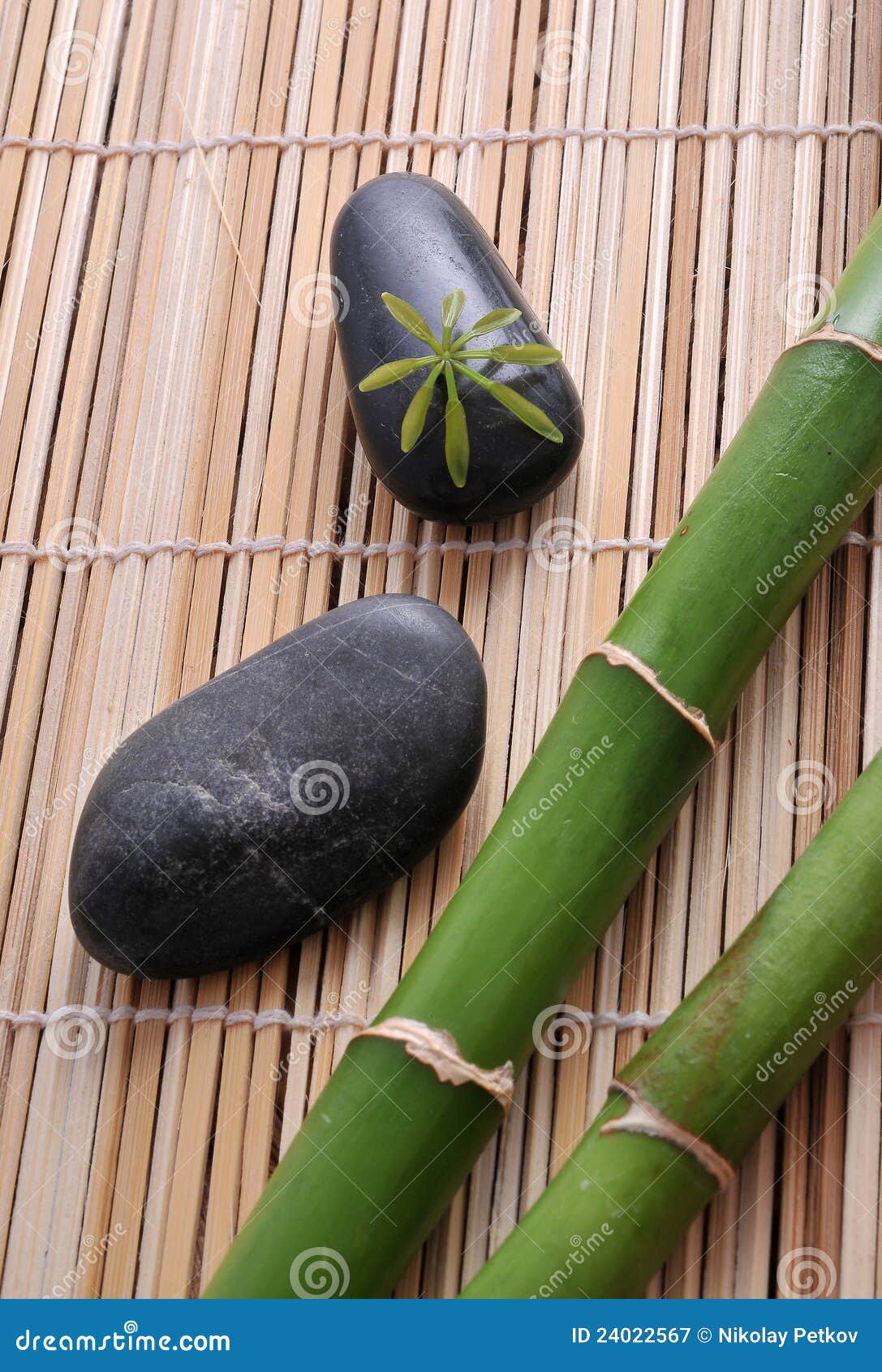 Zen Stones and Green Bamboo Stock Image - Image of leaf, background ...