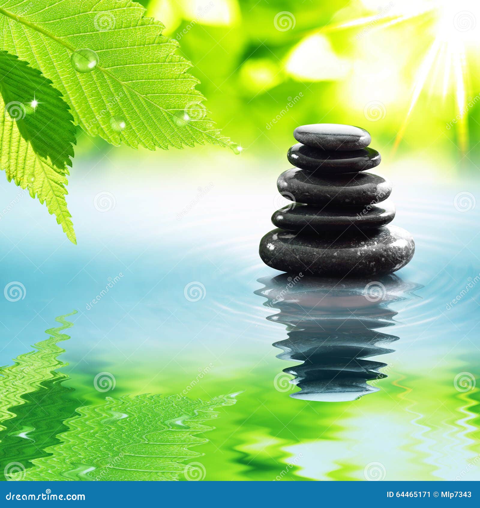 Zen Stones & Green Leaves Stock Image - Image of drop, purity: 64465171