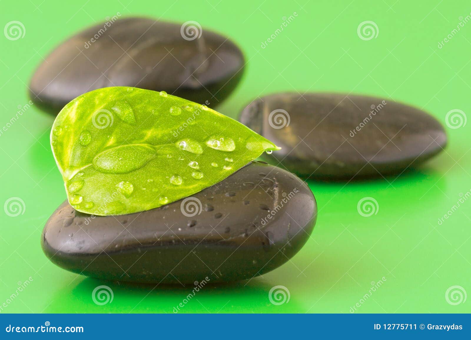 Zen stones with leaf stock image. Image of beauty, fresh - 12775711