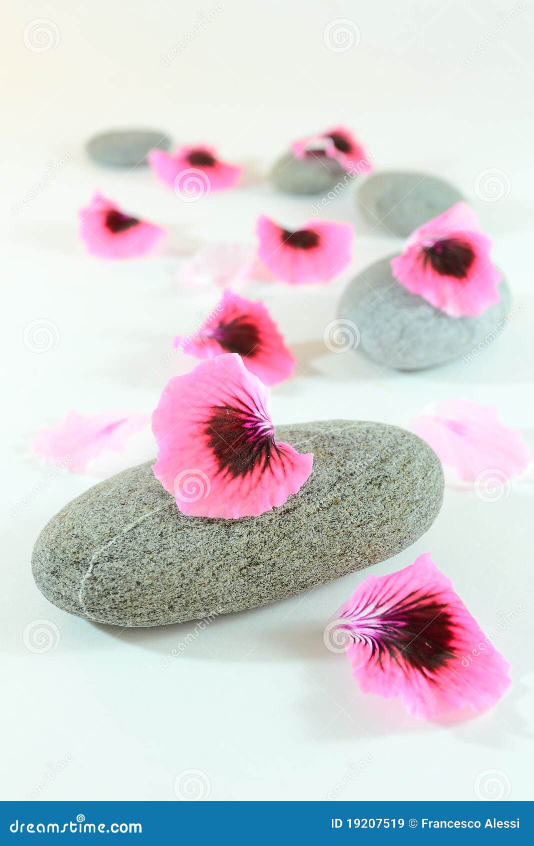 Zen stones path stock image. Image of beautiful, beauty - 19207519