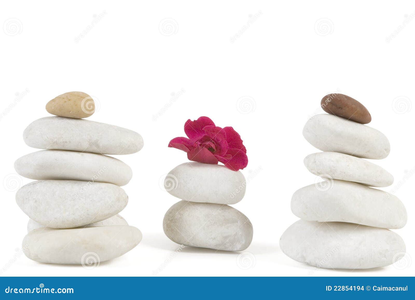 Zen stones with red flower stock photo. Image of decoration - 22854194