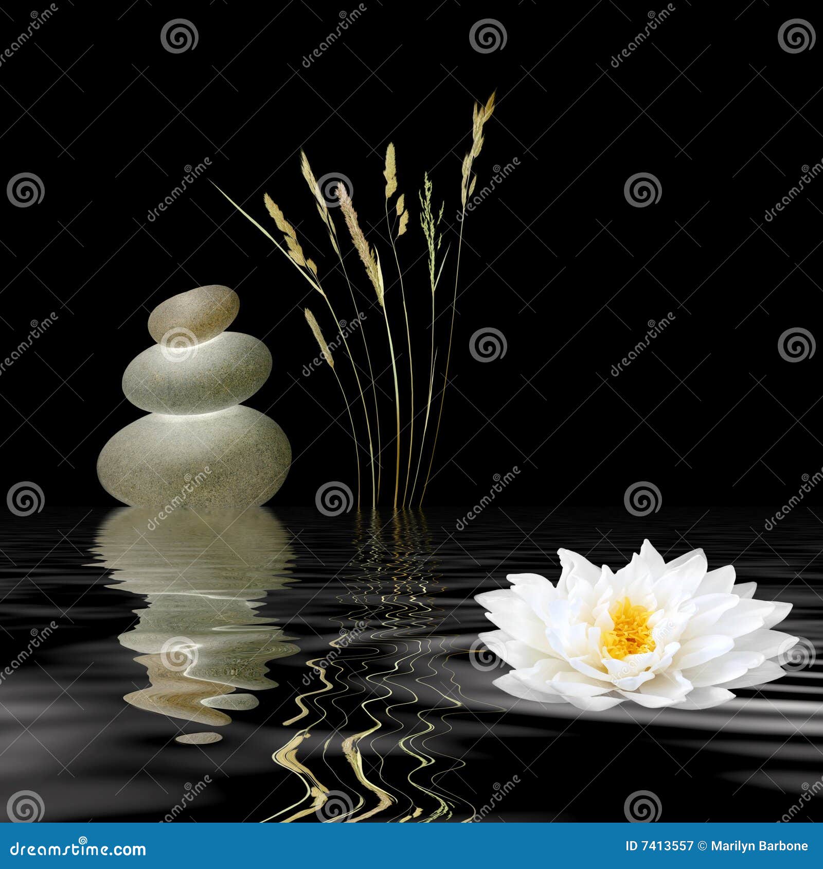 Zen Symbols stock image. Image of natural, beauty, buddhism - 7413557