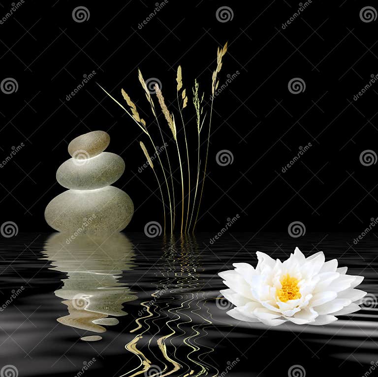 Zen Symbols stock image. Image of natural, beauty, buddhism - 7413557
