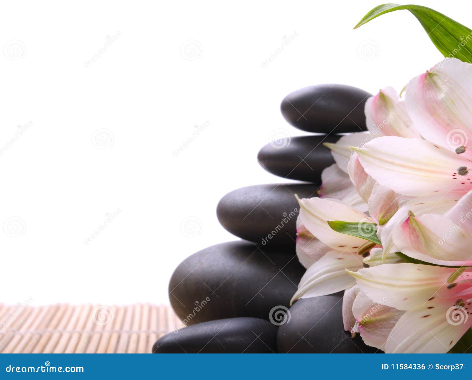 Zen tones stock photo. Image of bush, flor, heap, decor - 11584336