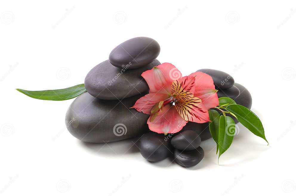 Zen tones stock image. Image of beauty, close, isolated - 11584343