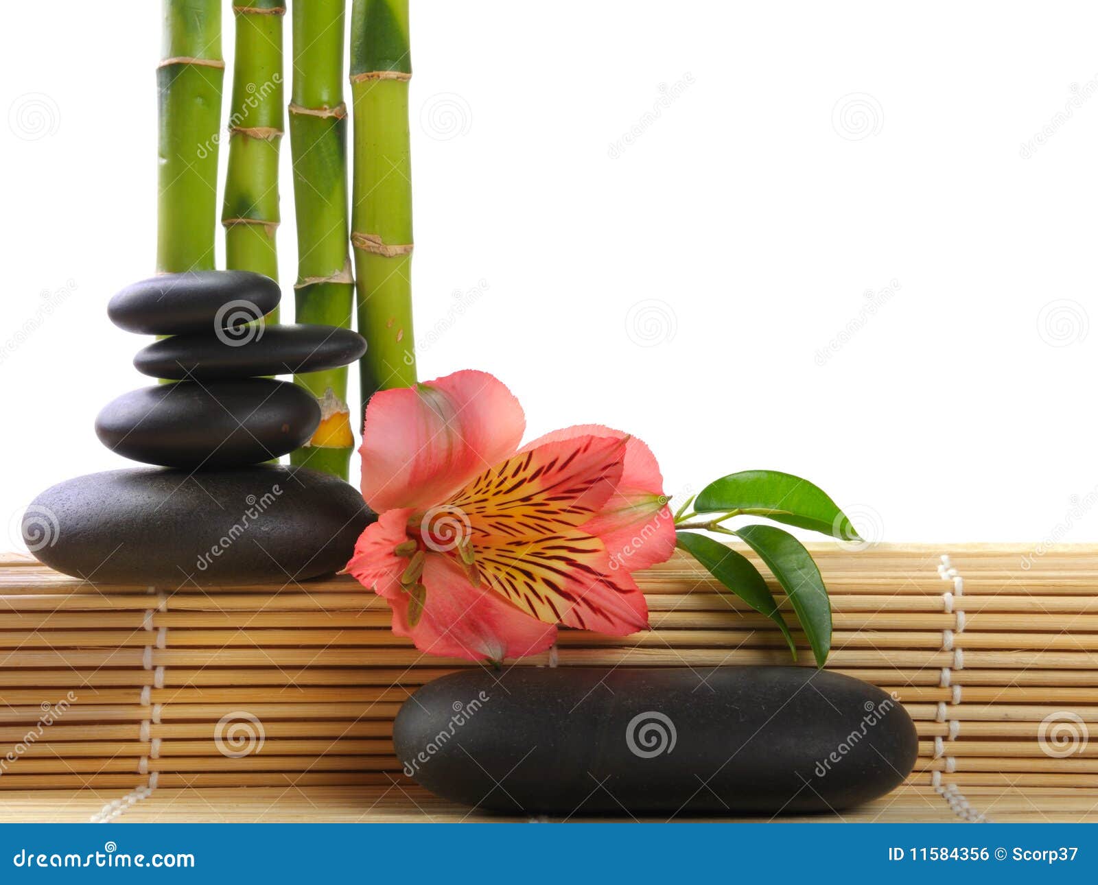 Zen tones stock photo. Image of balance, natural, growth - 11584356
