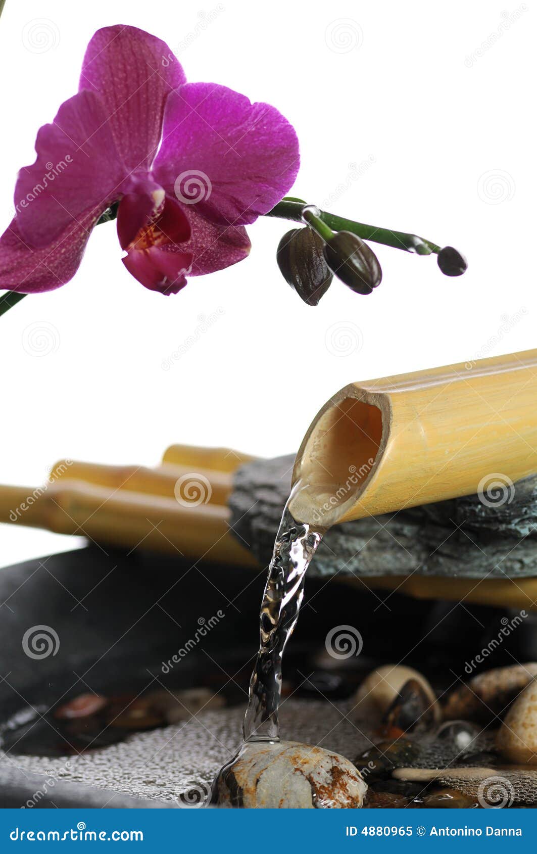 Zen Water stock image. Image of retreat, earth, blue, relax - 4880965