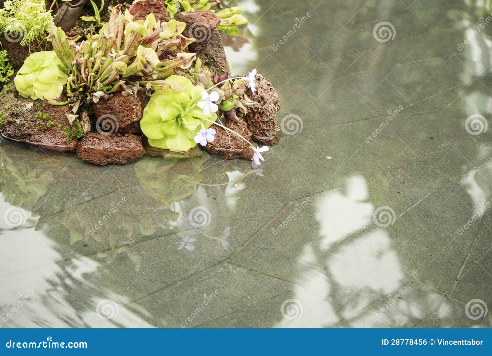 Zen Water Relaxation Reflection Stock Photo - Image of water ...