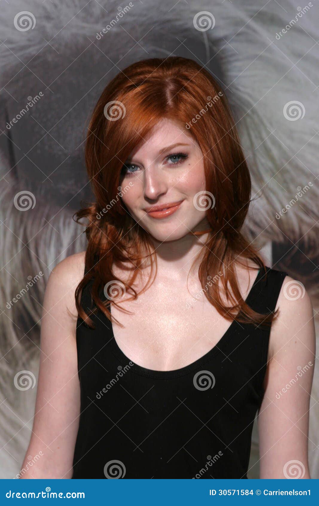 Zena Grey image stock éditorial. Image du marche, première - 30571584