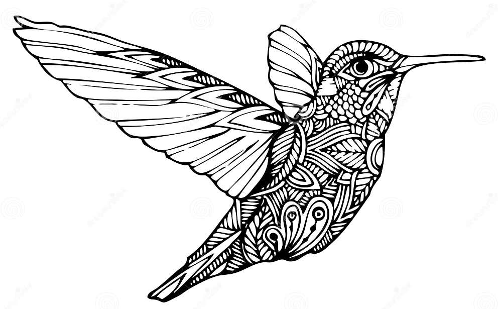 Zentangle Hummingbird Vector Stock Vector - Illustration of concentric ...