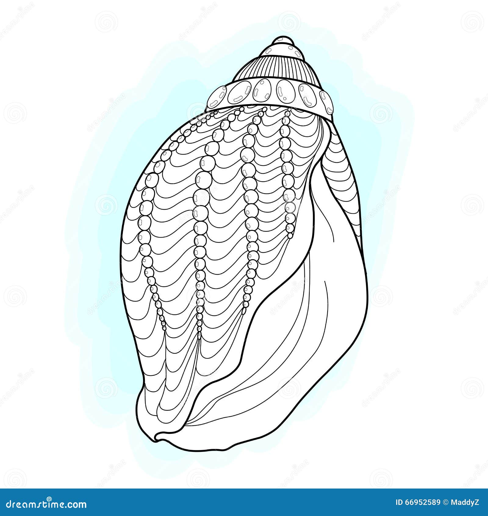 Zentangle Seashell Collection Stock Vector - Illustration of abstract ...