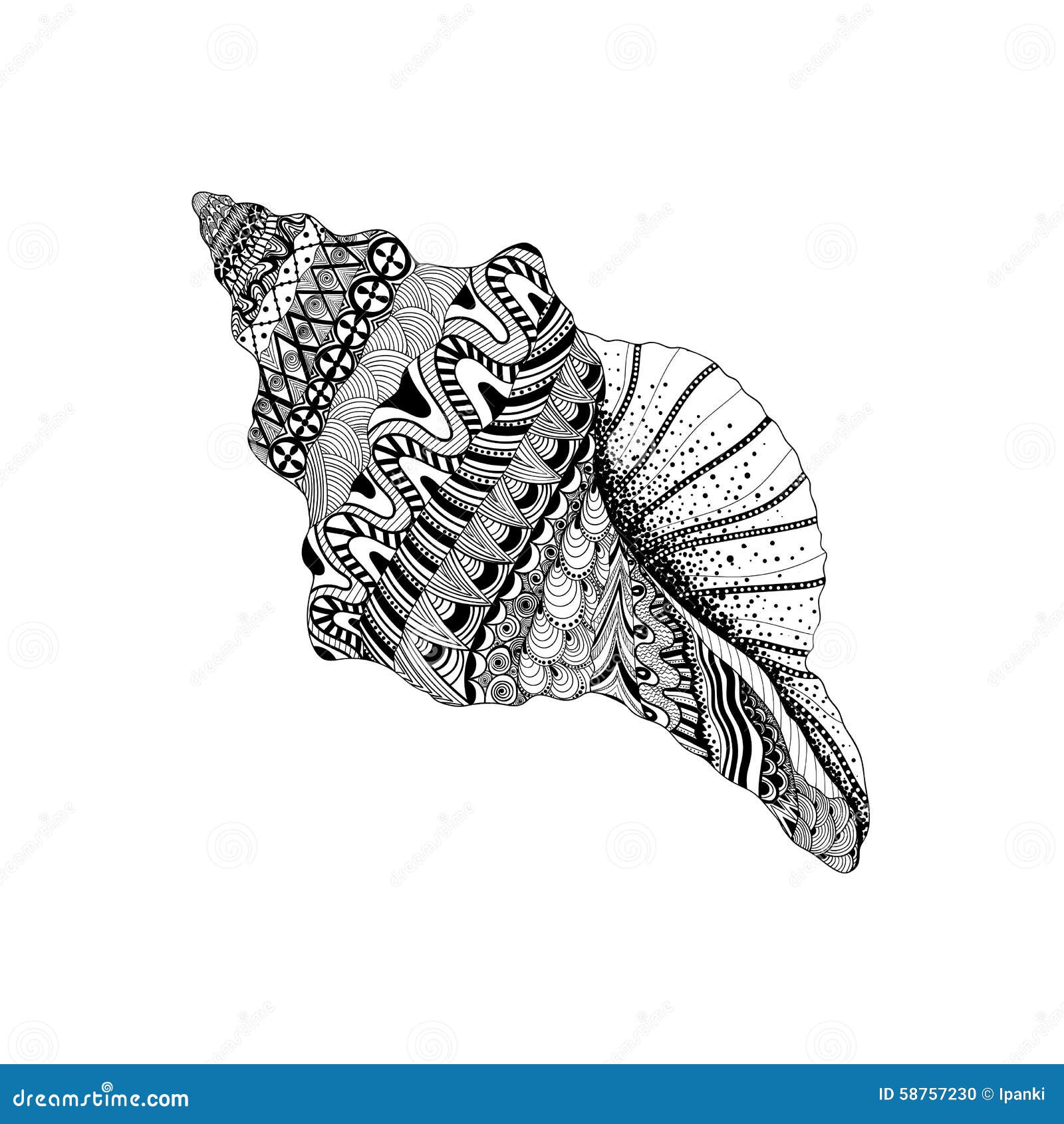Sea Cockleshell Stock Illustrations – 8,898 Sea Cockleshell Stock ...