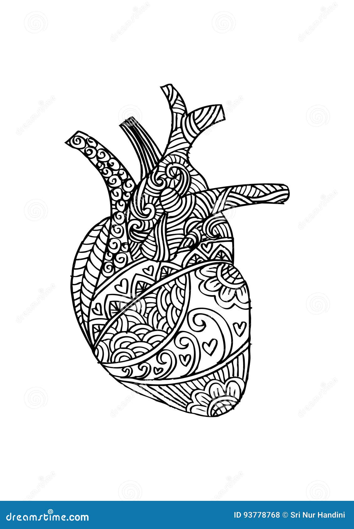 Zentangle Stylized Human Heart Stock Illustration - Illustration of ...