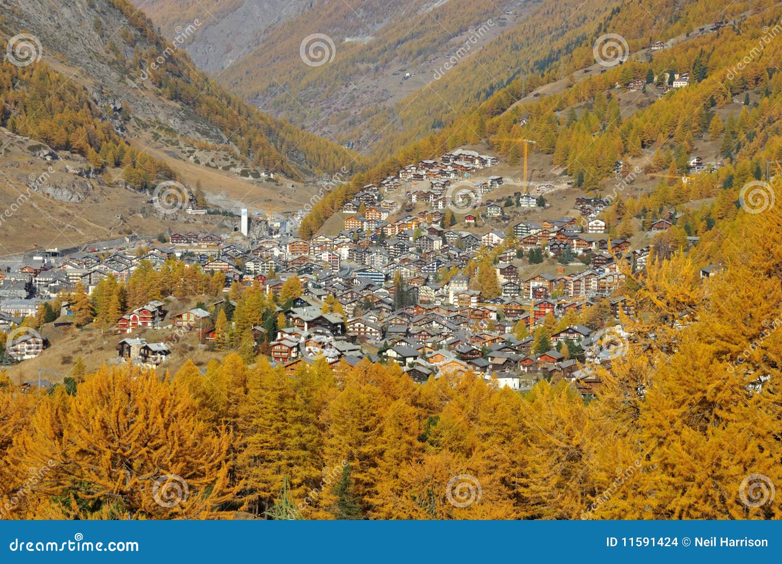 Zermatt in the fall stock photo. Image of larch, branches - 11591424