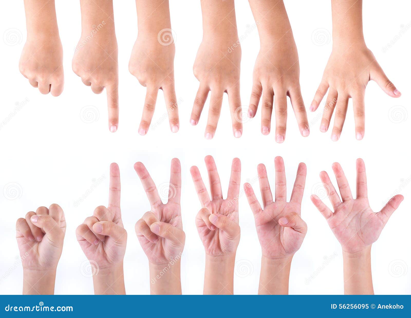Zero To Five Fingers Count Signs Stock Image - Image of business, hand ...