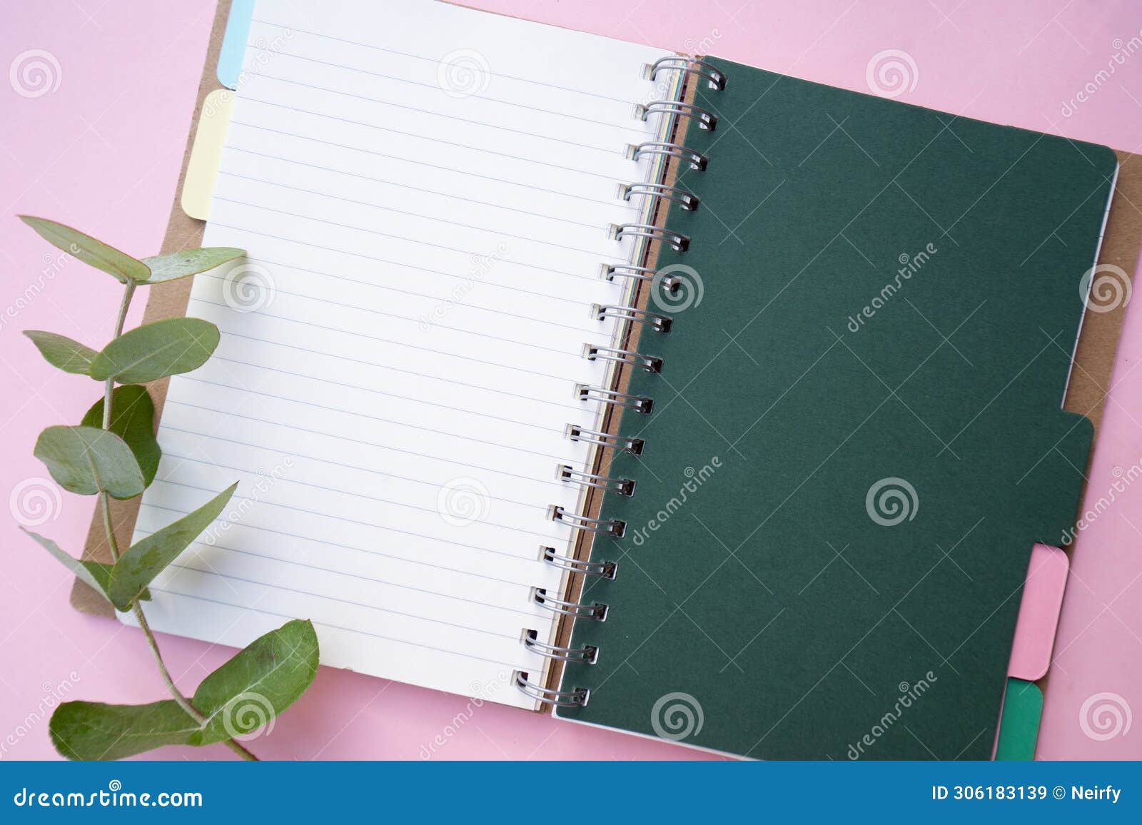 Zero Waste Concept with Open Notebook and Green Eucaliptus Leaves Stock ...