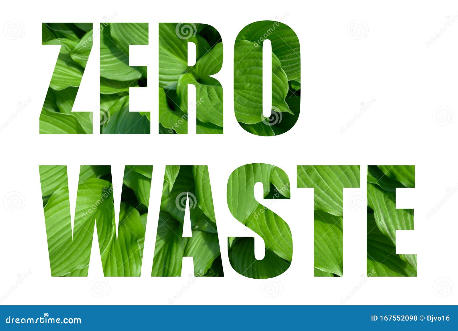 Zero Waste Text with Green Leaves on White Background Stock Photo ...