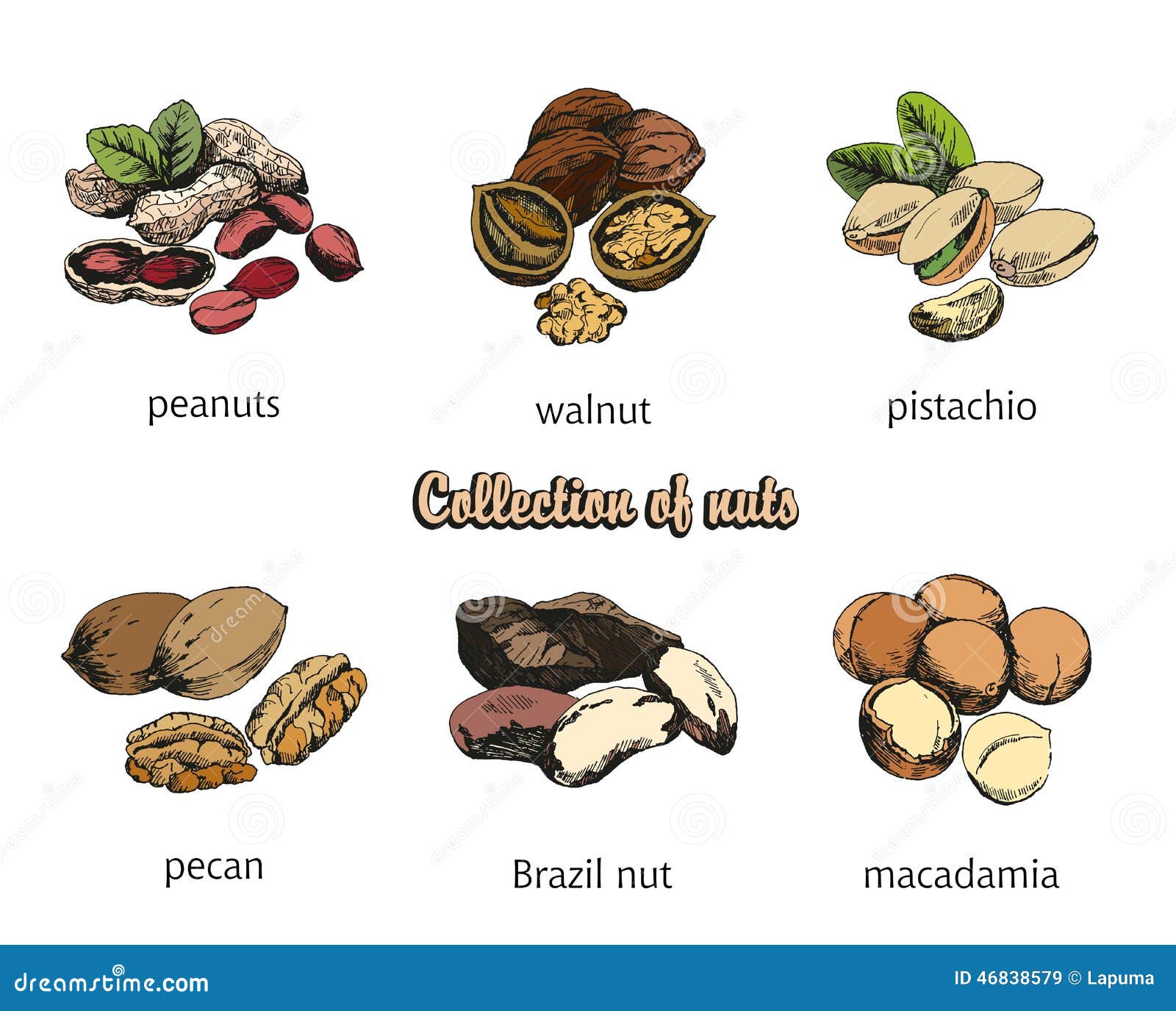 Soorten Noten Nakd Raspberry Chocolish Fruit En Notenrepen