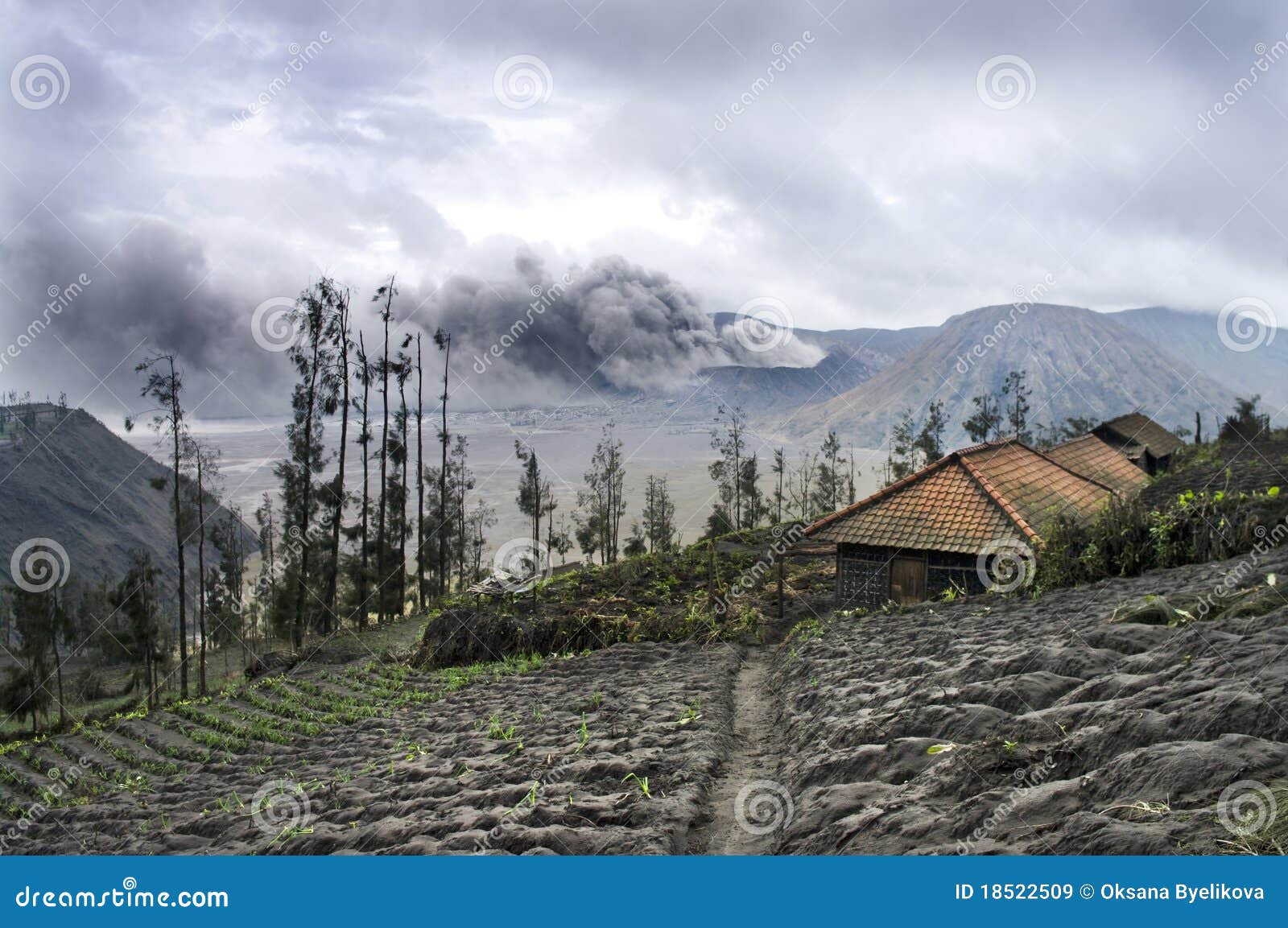 Zet Bromo vulkaan, Java op stock afbeelding. Image of azië - 18522509