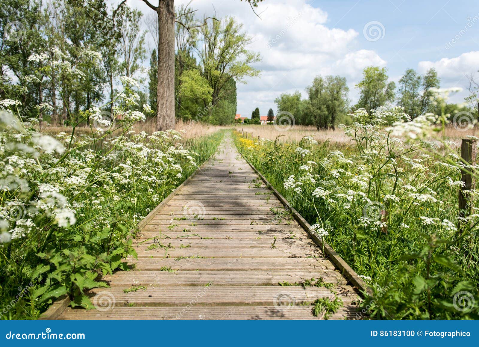 Zeveren Stock Photos - Free & Royalty-Free Stock Photos from Dreamstime