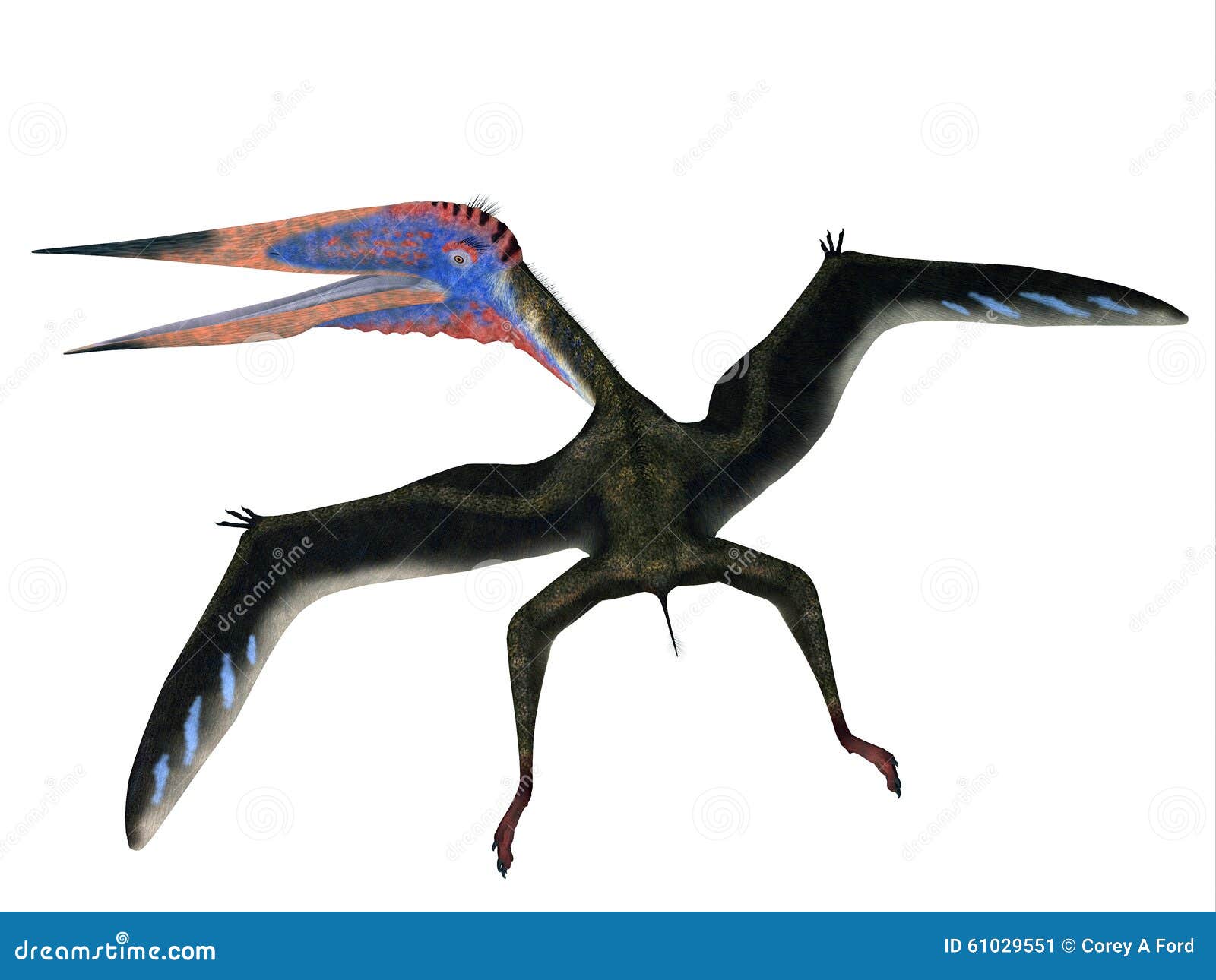 Zhejiangopterus Que Vuela Pterosaur Stock de ilustración - Ilustración ...