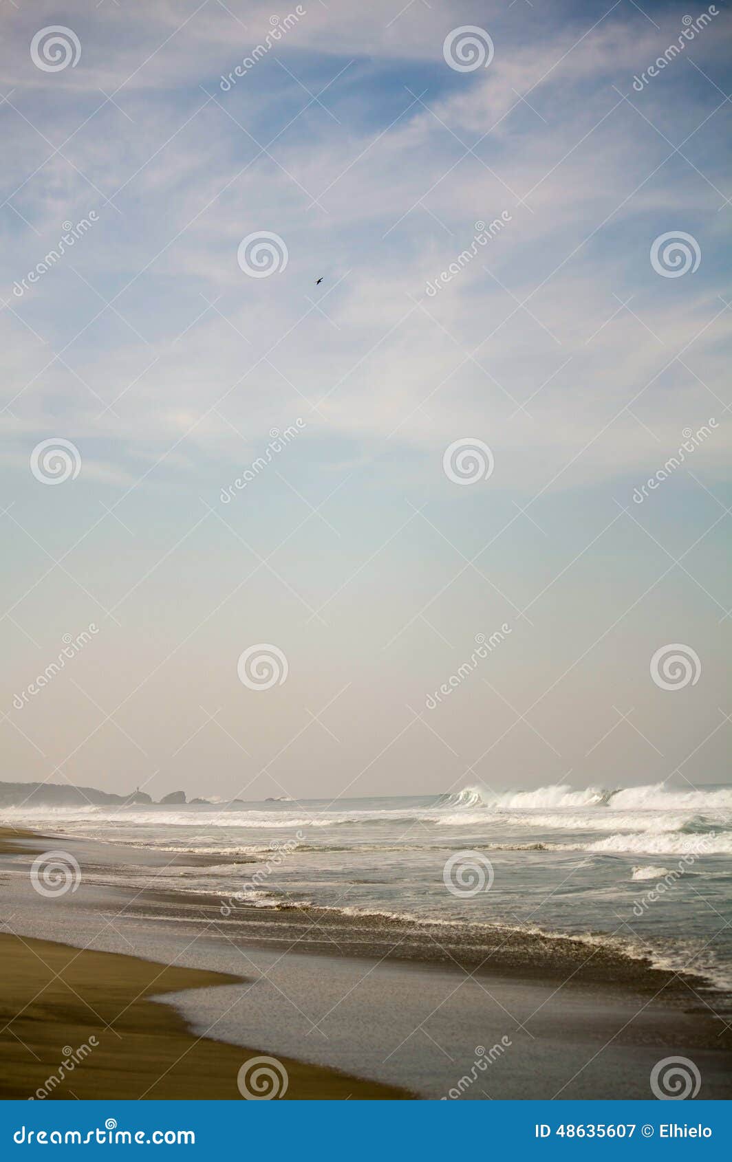 Zicatela Beach and Eagle in the Sky Puerto Escondido Mexico Stock Image ...