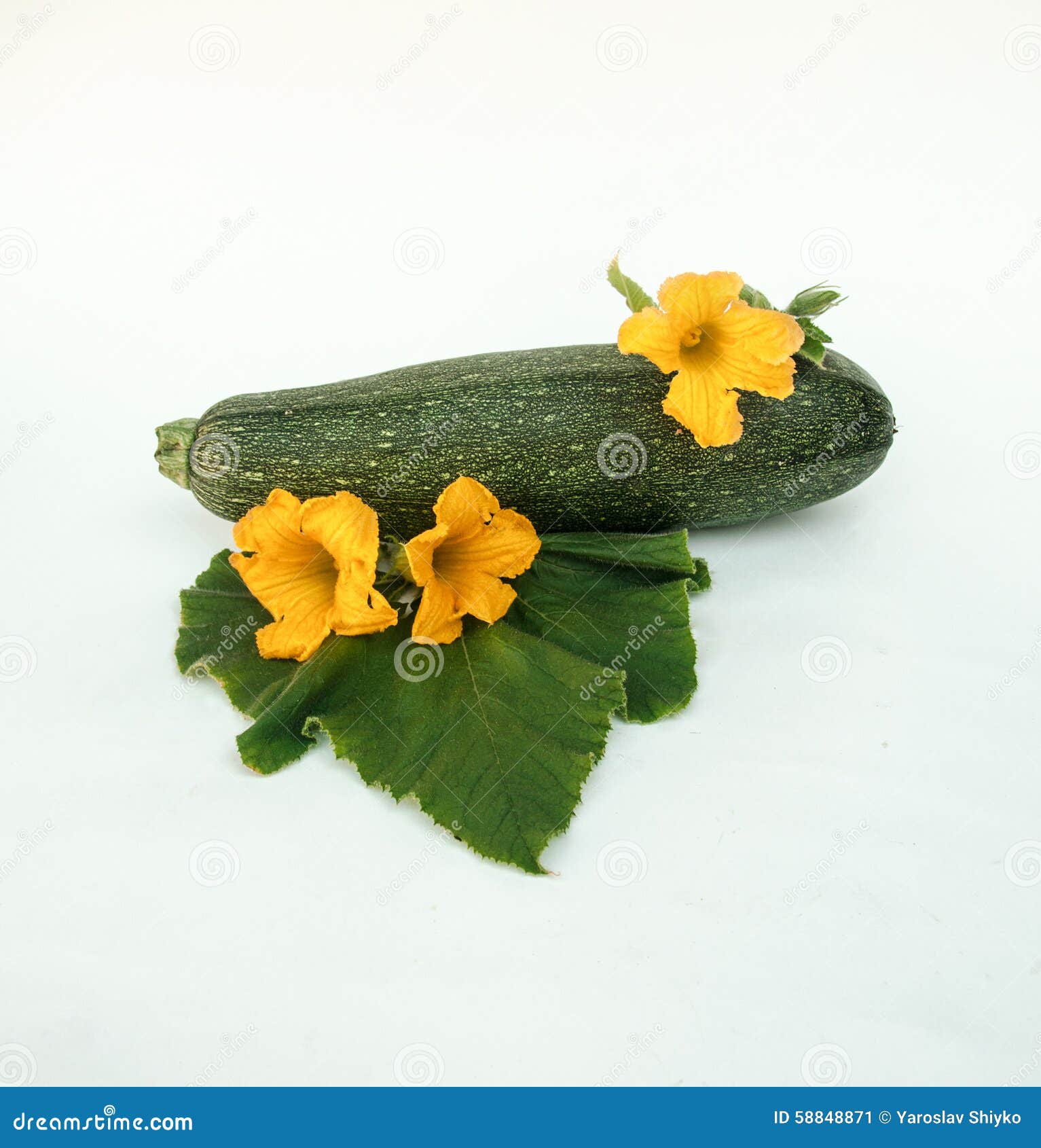 Zielony Kabaczek Lub Zucchini Obraz Stock - Obraz złożonej z ...