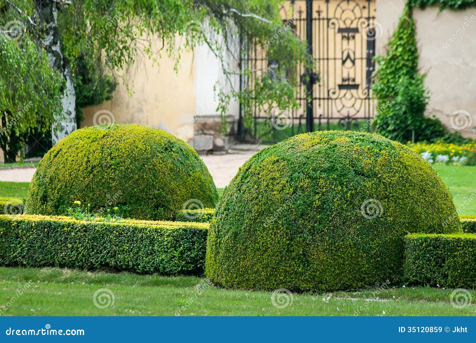 Zielony krzak obraz stock. Obraz złożonej z ogród, greenbacks - 35120859