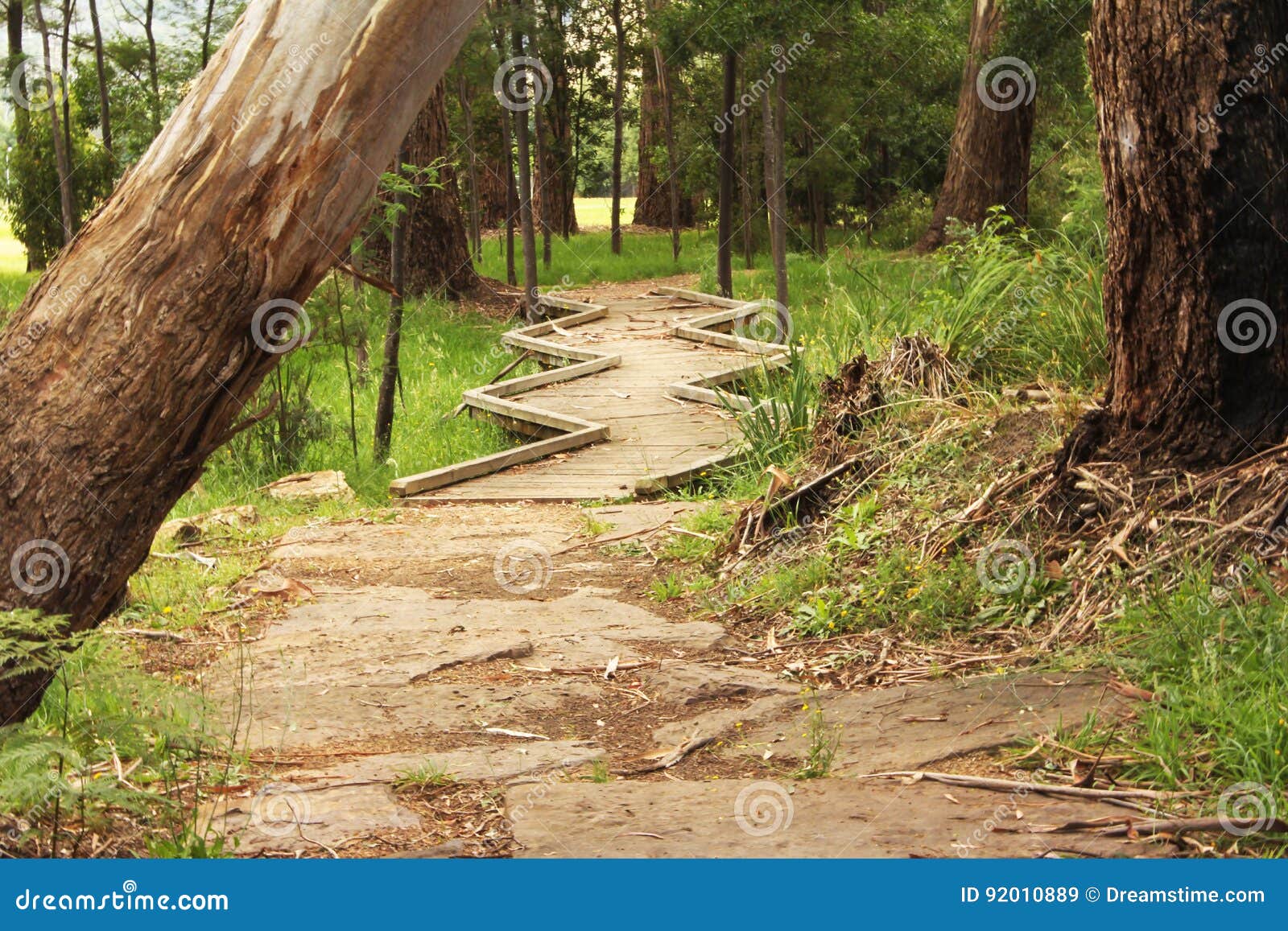 Zig Zag path stock image. Image of bush, bushwalk, riverside - 92010889