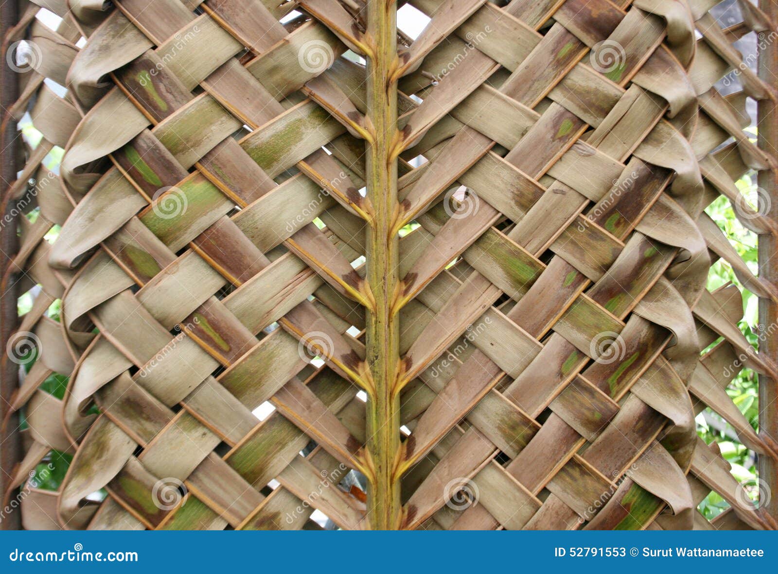 Zigzag Interlocking of Coconut Leaves Stock Image - Image of ...