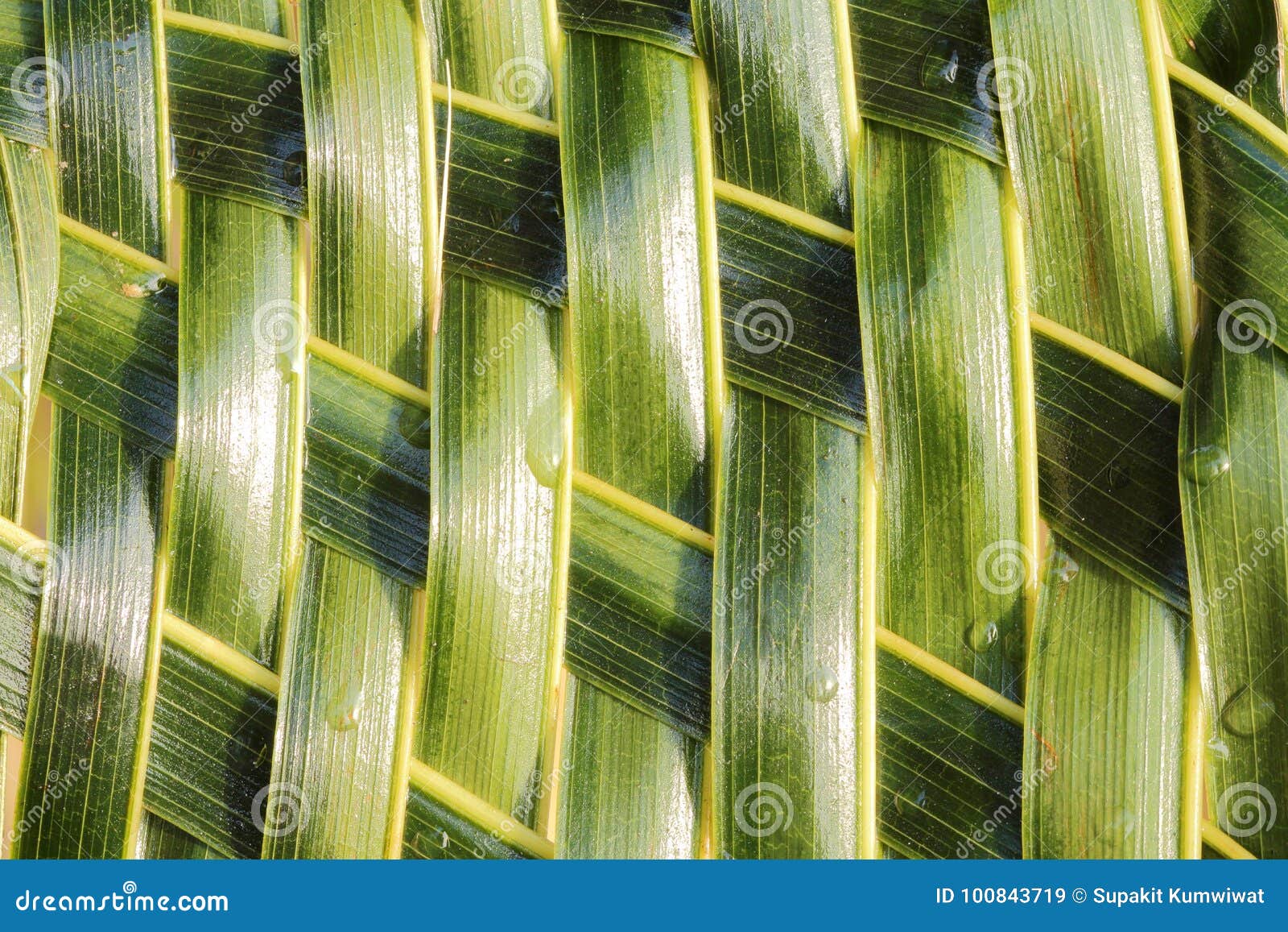 Zigzag Interlocking of Coconut Leaves Weave Stock Image - Image of ...