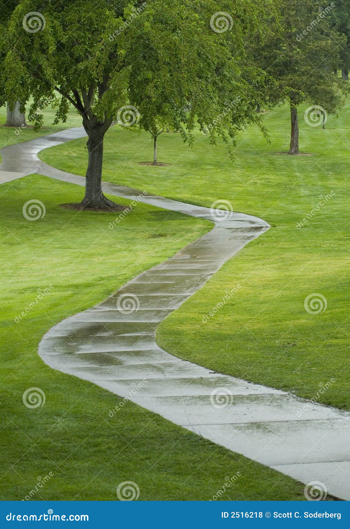 Zigzag path stock photo. Image of sidewalk, golf, path - 2516218