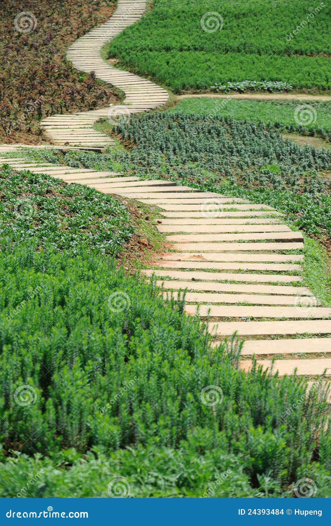 Zigzag Stone Floor Texture In Seamless Fashion Stock Photography ...