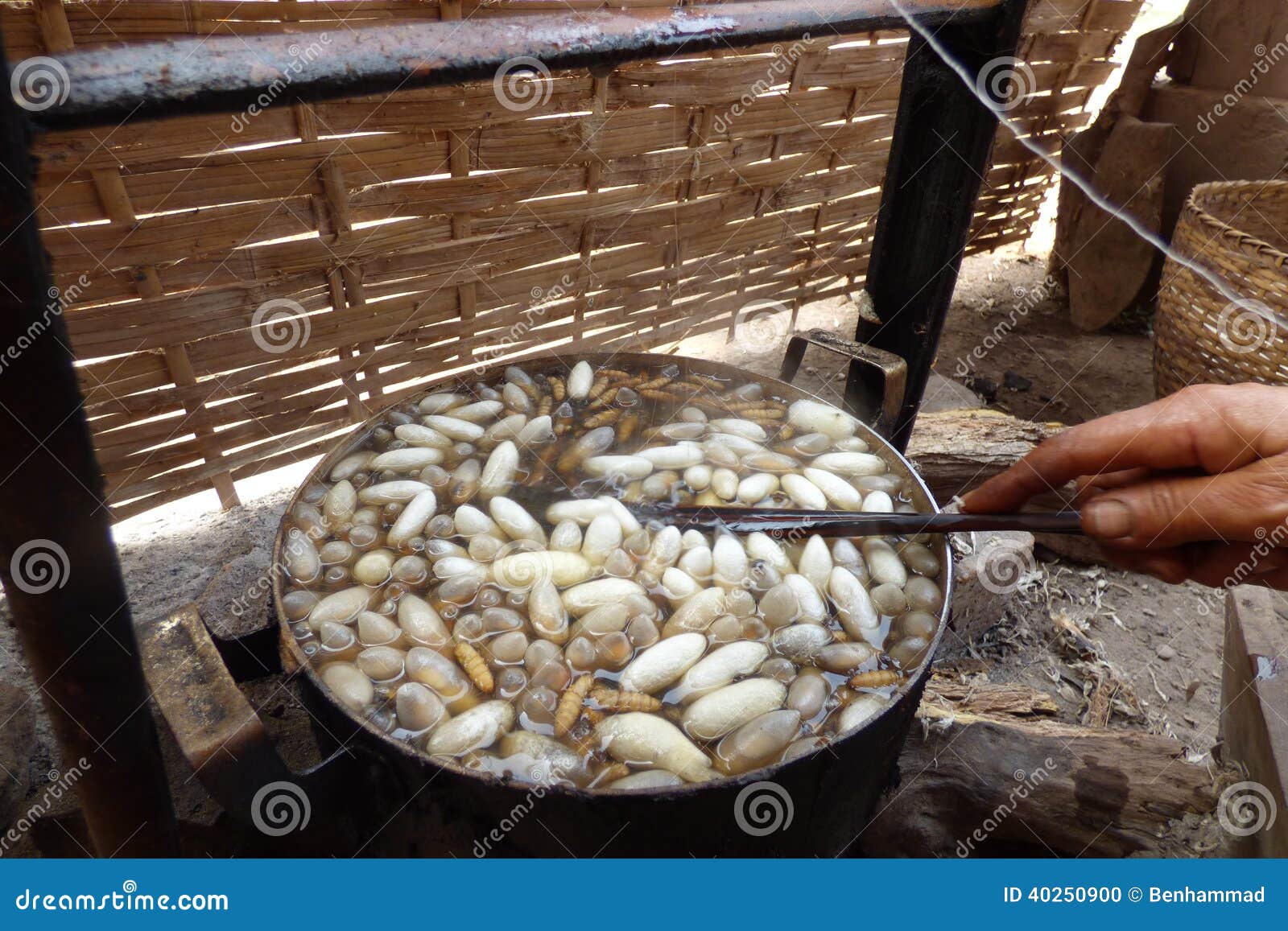 Zijdeproductie in Laos stock foto. Image of zijderups - 40250900