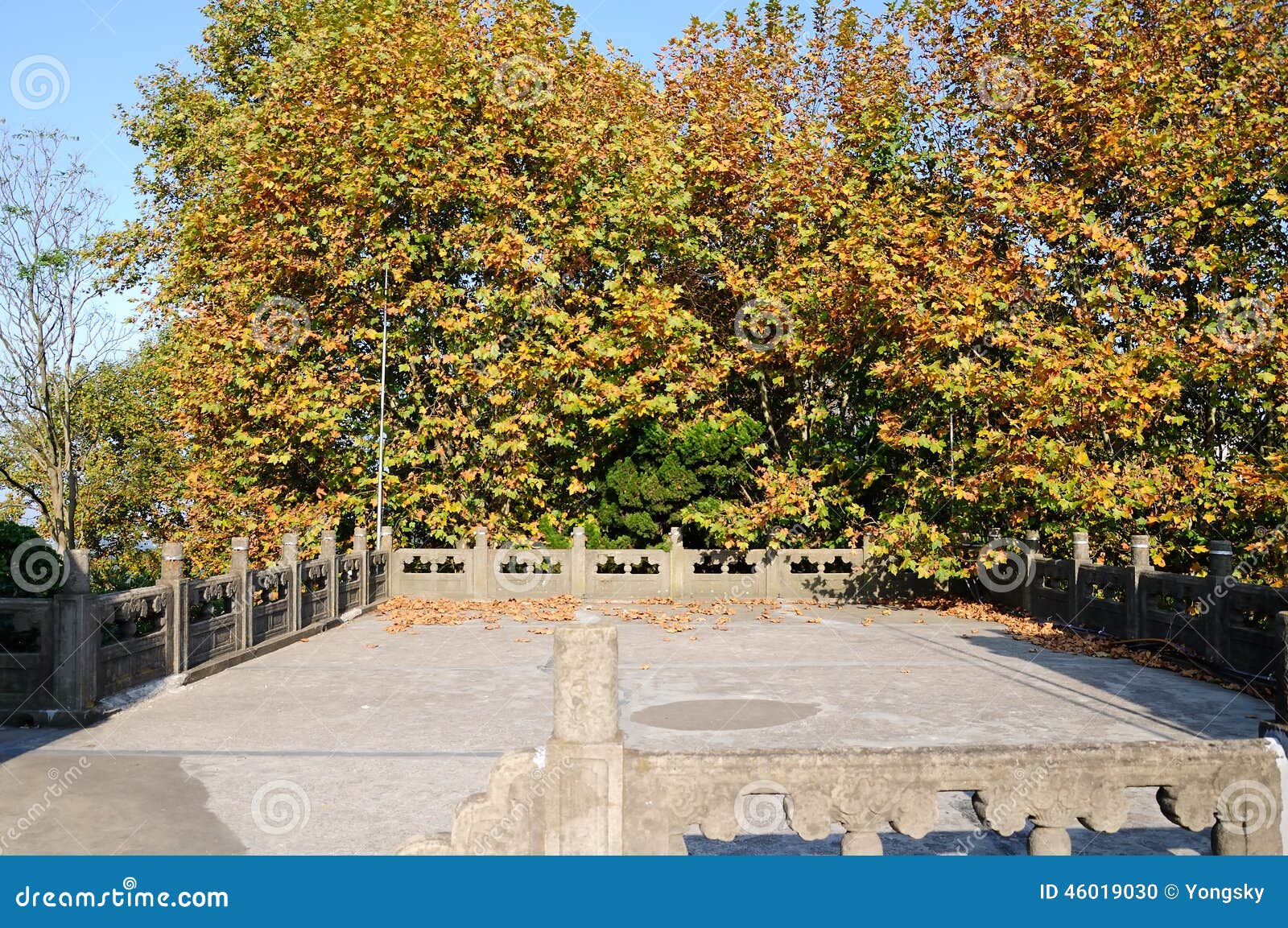 Zijing山 库存照片. 图片 包括有 南京, 聚会所, 栏杆, 黄色, 道路, 平台, 绿色, 蓝色 - 46019030