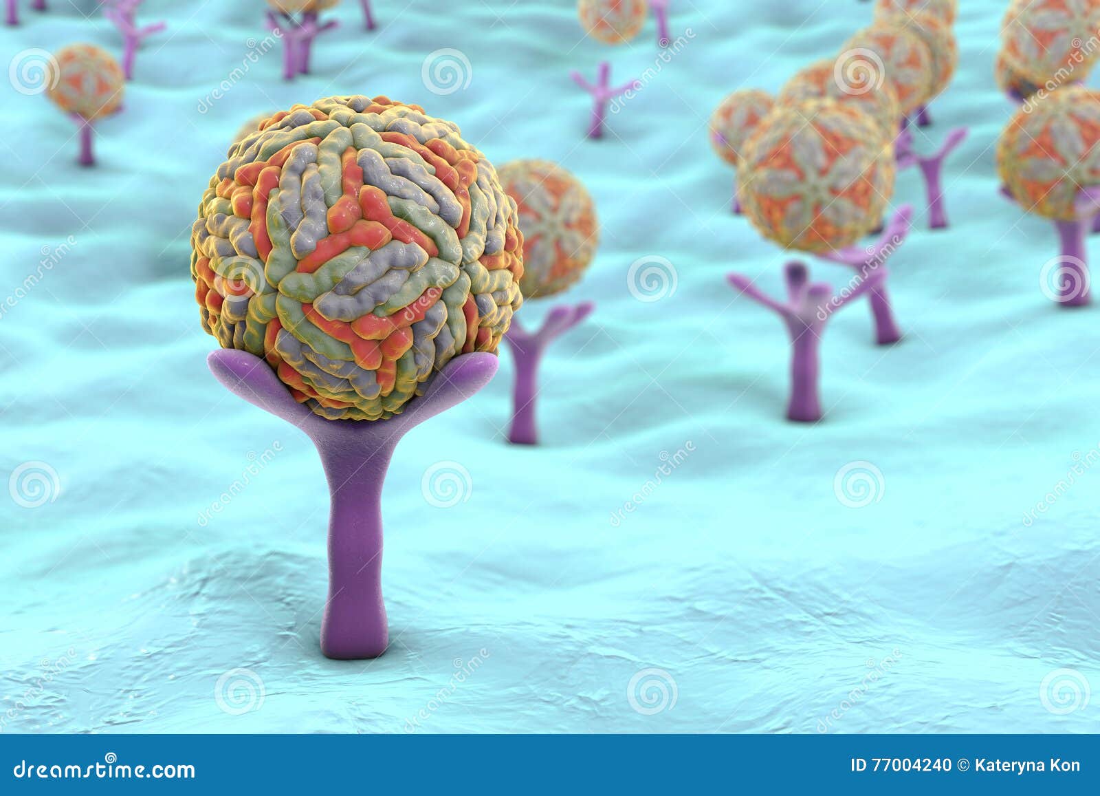 Human Cell Receptors Stock Photos - Free & Royalty-Free Stock Photos ...