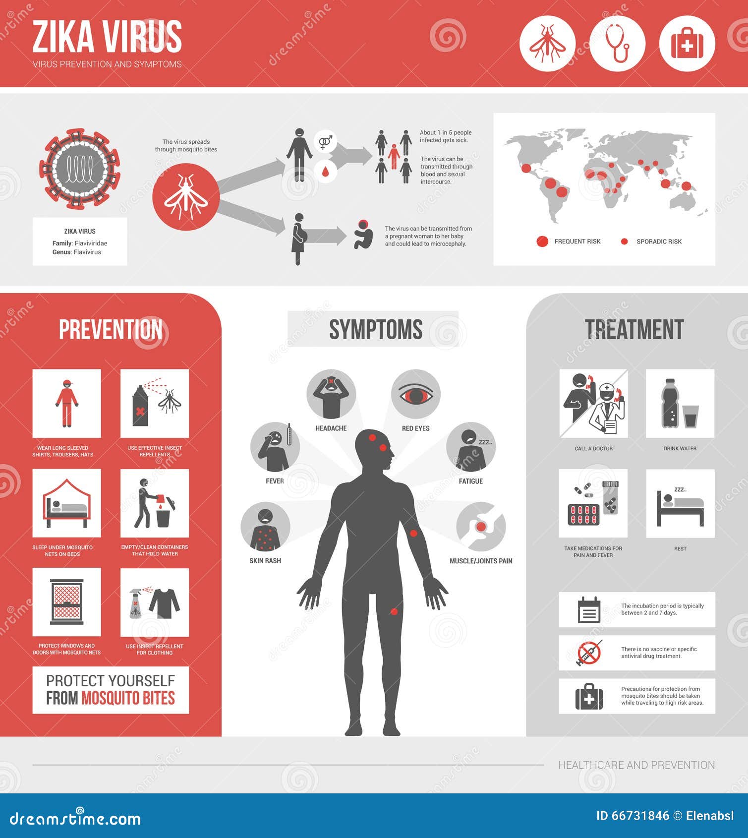 Zika virus infographic stock vector. Illustration of doctor - 66731846